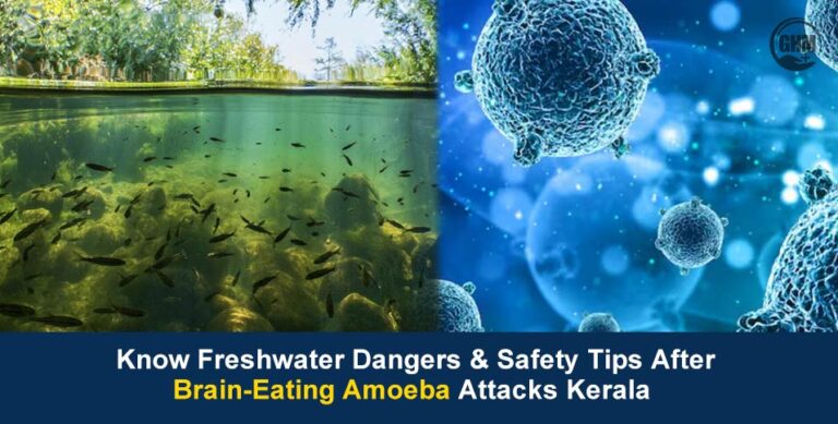 Freshwater Dangers Safety As Brain Eating Amoeba In Kerala