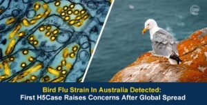 First Case of Bird Flu Strain In Australia Prompts Response
